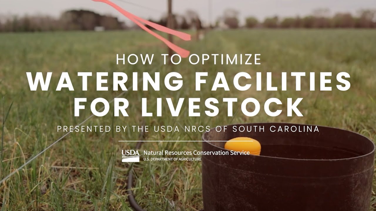 Best Watering Systems for Livestock and Grazing - YouTube