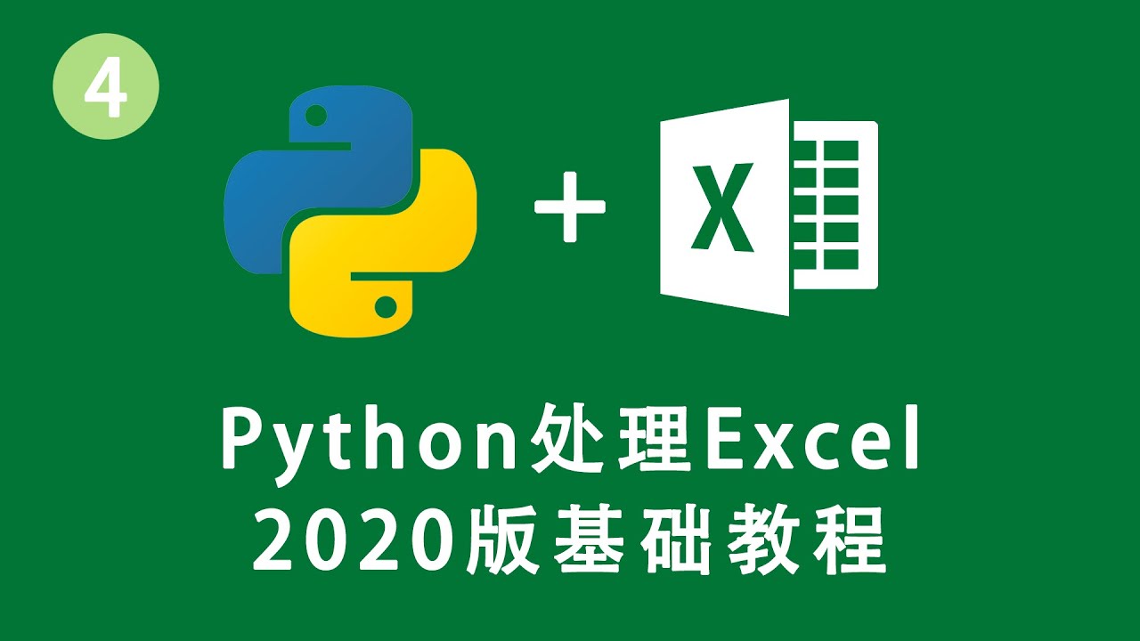 程序员小飞 Python处理excel第4课——数据导入、熟悉和保存 Youtube