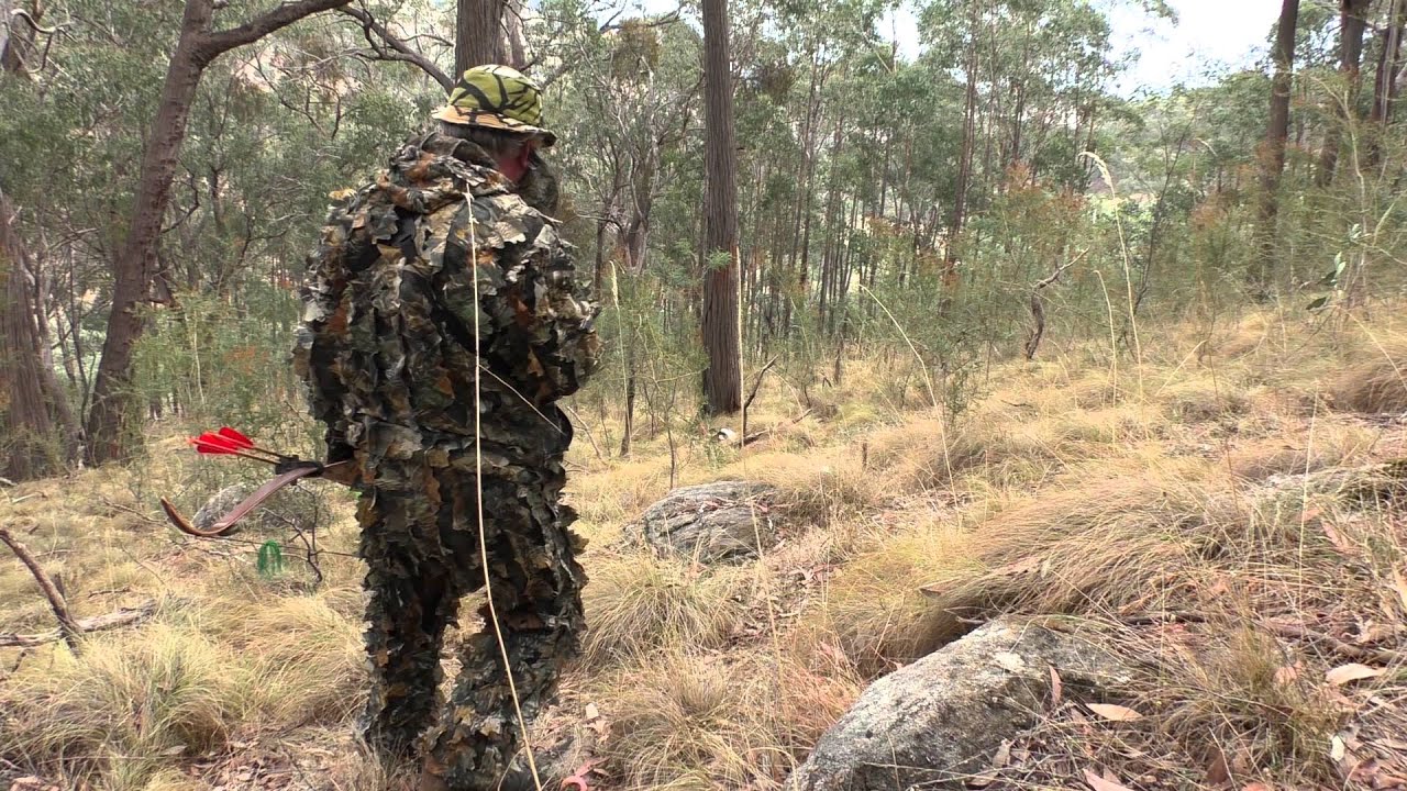 Bow Hunting Fallow Deer with a Recurve Bow - YouTube