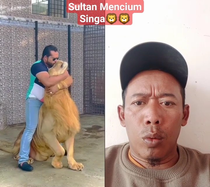 Sultan Mencium Singa - YouTube