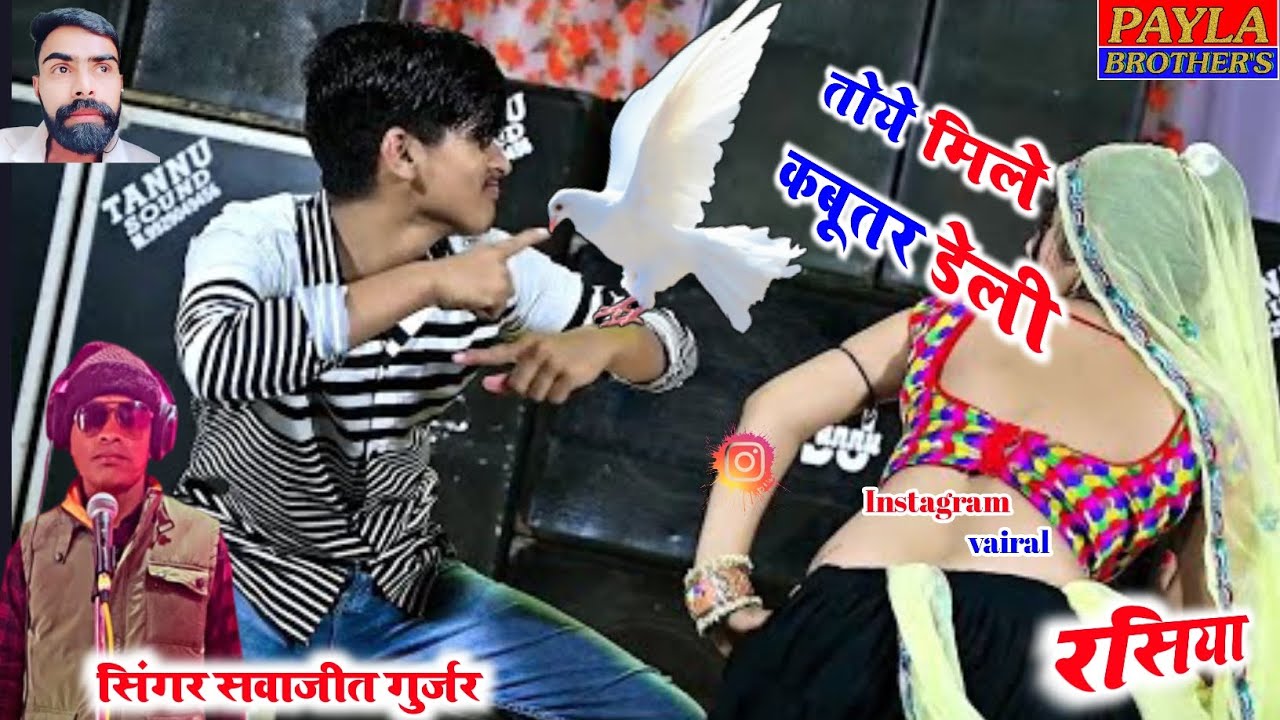 तोय मिले कबूतर डेली|| ना मिलो बाज मो जेसो|| सभाजीत गुर्जर|dj latest ...