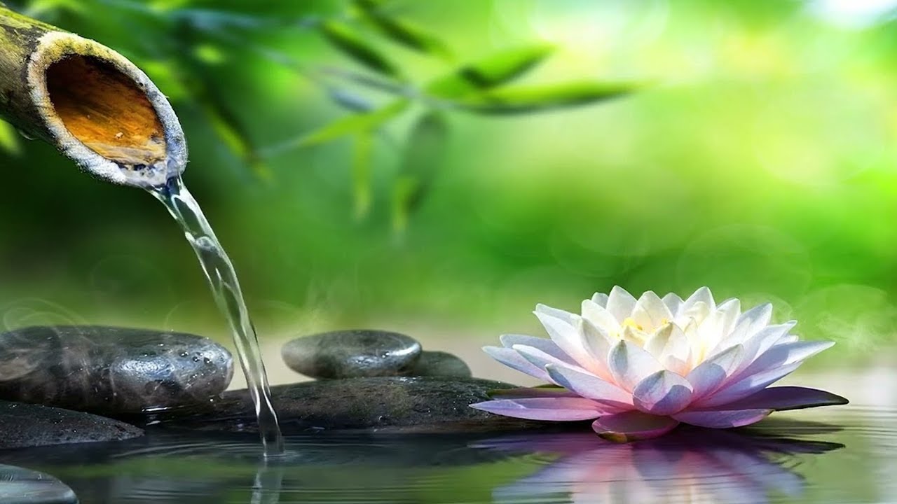 No Ads Relaxing Piano Music & Water Sounds, Deep Sleep Music ...