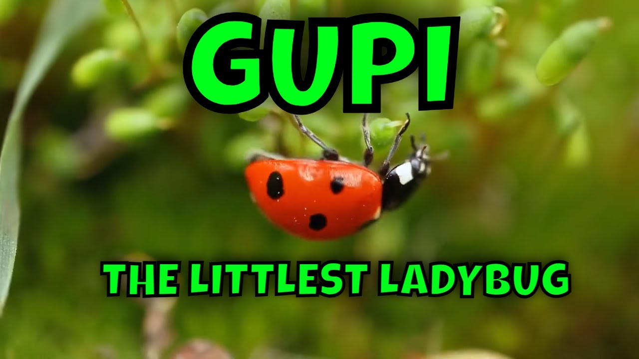 Littlest Ladybug, Toddlers Bedtime Stories, Sleepy Bedtime Stories for ...