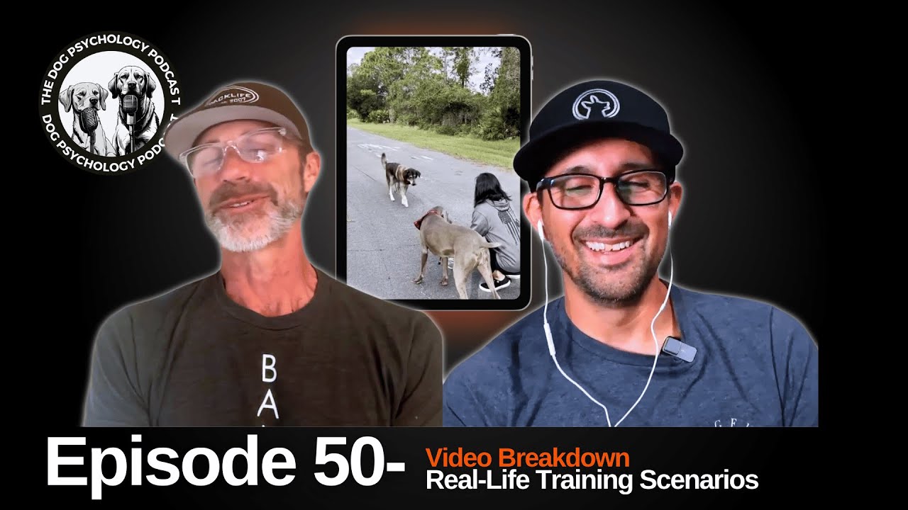 The Dog Psychology Podcast Episode #050- Real-Life Training Scenarios ...