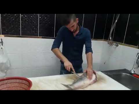 Tatlısu Levreği FLETO