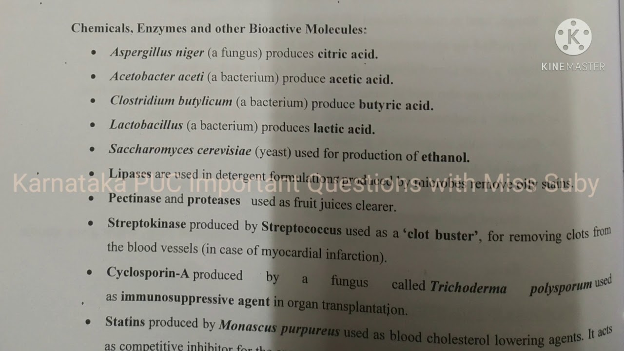 Microbes In Human Welfare Important Question Complete Notes Of 2nd Puc microbes-in-human-welfare-important-question-complete-notes-of-2nd-puc