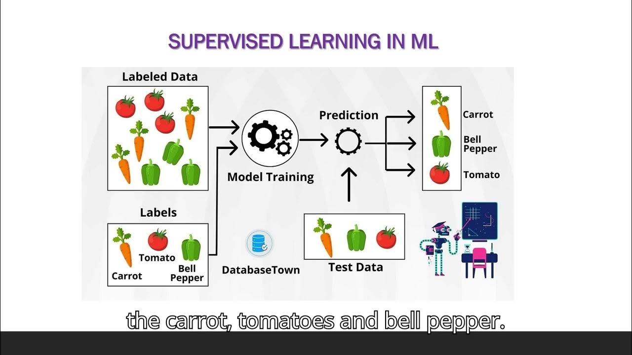 Supervised vs Unsupervised Learning Explained | Machine Learning Basics with Examples - YouTube