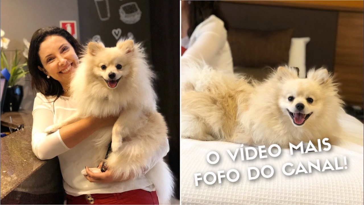 O vídeo mais fofo do canal - YouTube