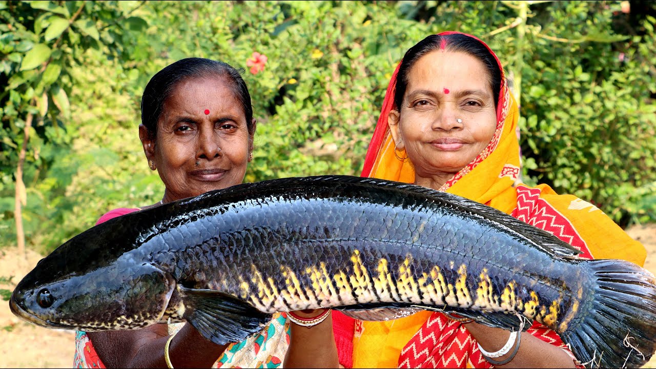 গভীর জলের পাকা শোল দিয়ে খাঁটি বাঙালি রান্না / Shol Fish Recipe - YouTube