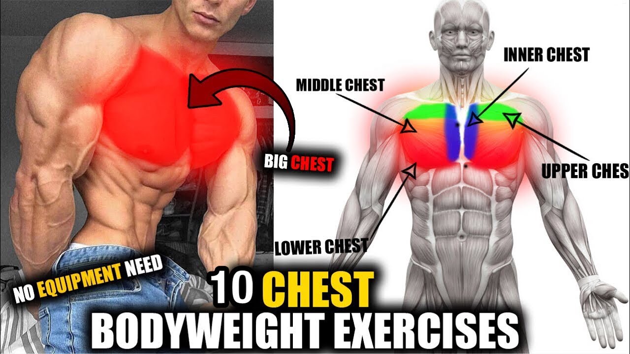 FULL EXERCISE BODYWEIGHT CHEST - YouTube