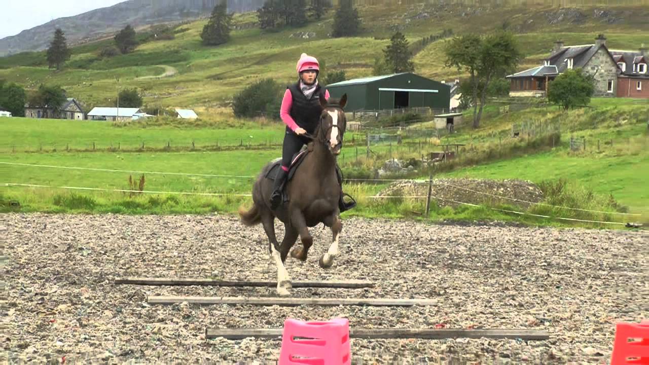 Bee Jumping - YouTube