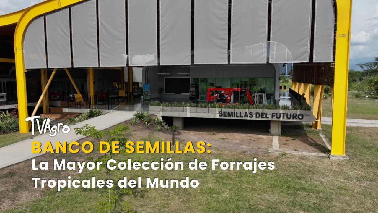 Banco de Semillas: La Mayor Colección de Forrajes Tropicales del Mundo ...