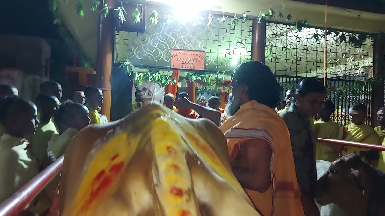 Govu Puja in Sri Dattagiri Ashrama - YouTube