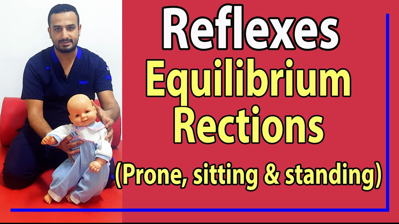 19 Equilibrium Reactions (Prone, Setting, Standing) - YouTube