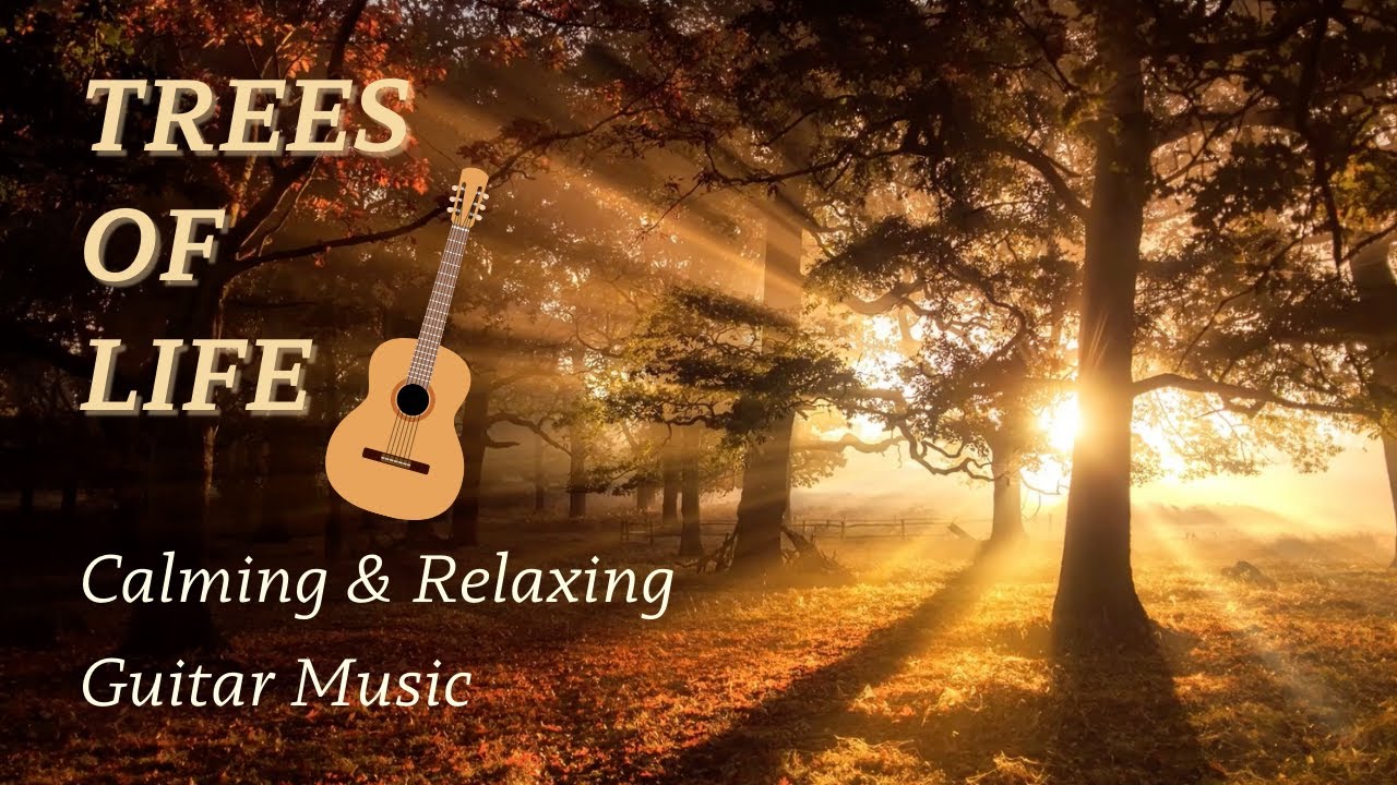 Trees of Life - Calming and Relaxing Music - YouTube