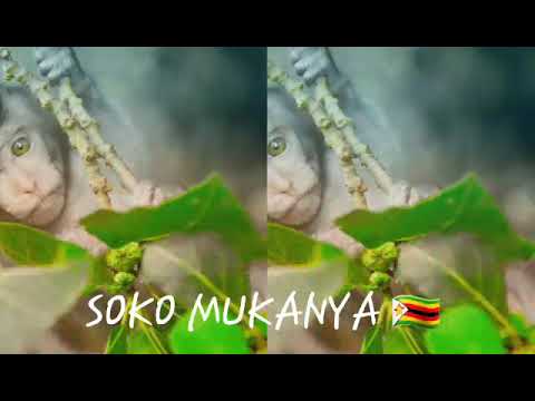 SOKO MUKANYA / Zimbabwe Poems - YouTube