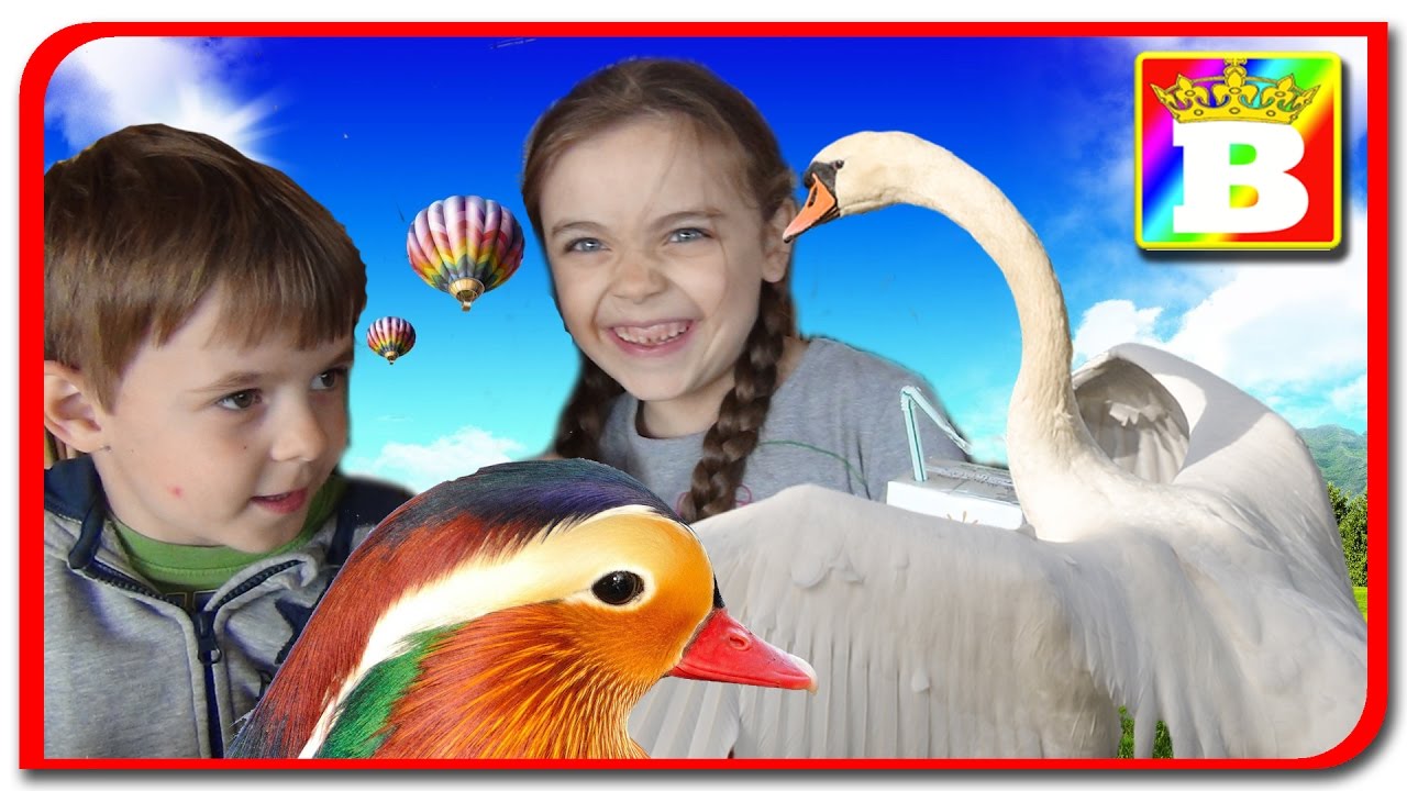 #2 Bogdan`s Show si Jasmina Show la Zooclub. Invatam animalele ...