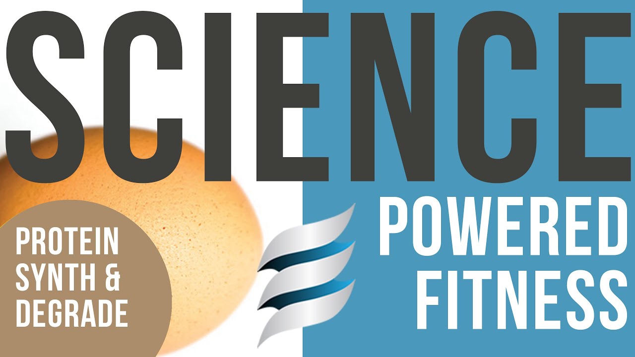Science-Powered Fitness: Unlocking the Protein Puzzle - YouTube