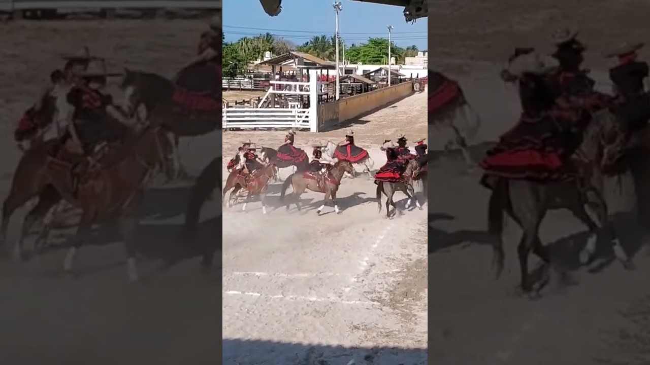 Progreso Yucatán Mexican Rodeo 🐎 - YouTube
