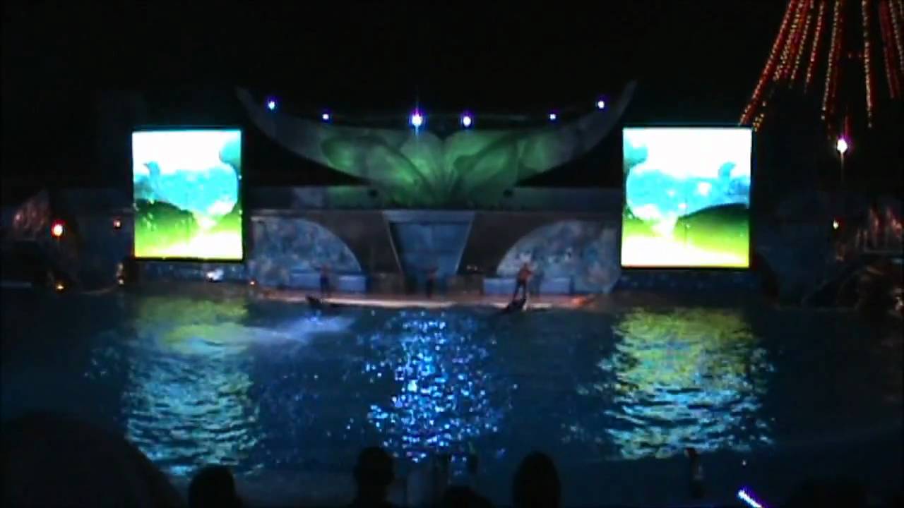 Shamu Rocks! Seaworld San Diego (Part 1) HD - YouTube