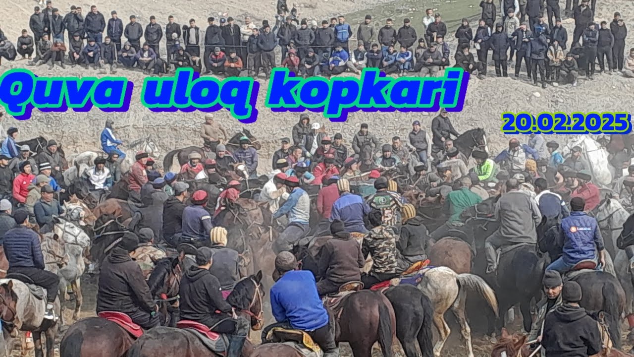 Fargʻona viloyati Quva tumani Anorsavhoz uloq kopkari oyini 20.02.2025 ...
