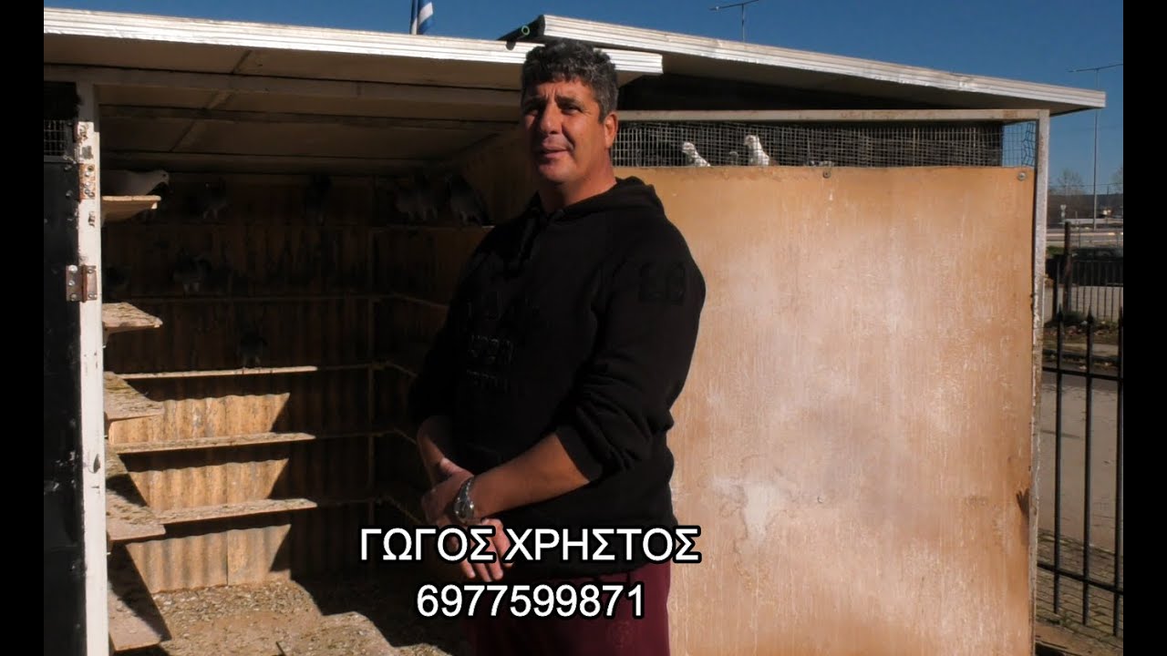 ΓΩΓΟΣ ΧΡΗΣΤΟΣ - ΛΕΣΧΗ ΠΕΡΙΣΤΕΡΙΩΝ ΦΑΡΣΑΛΩΝ - 2023 - YouTube