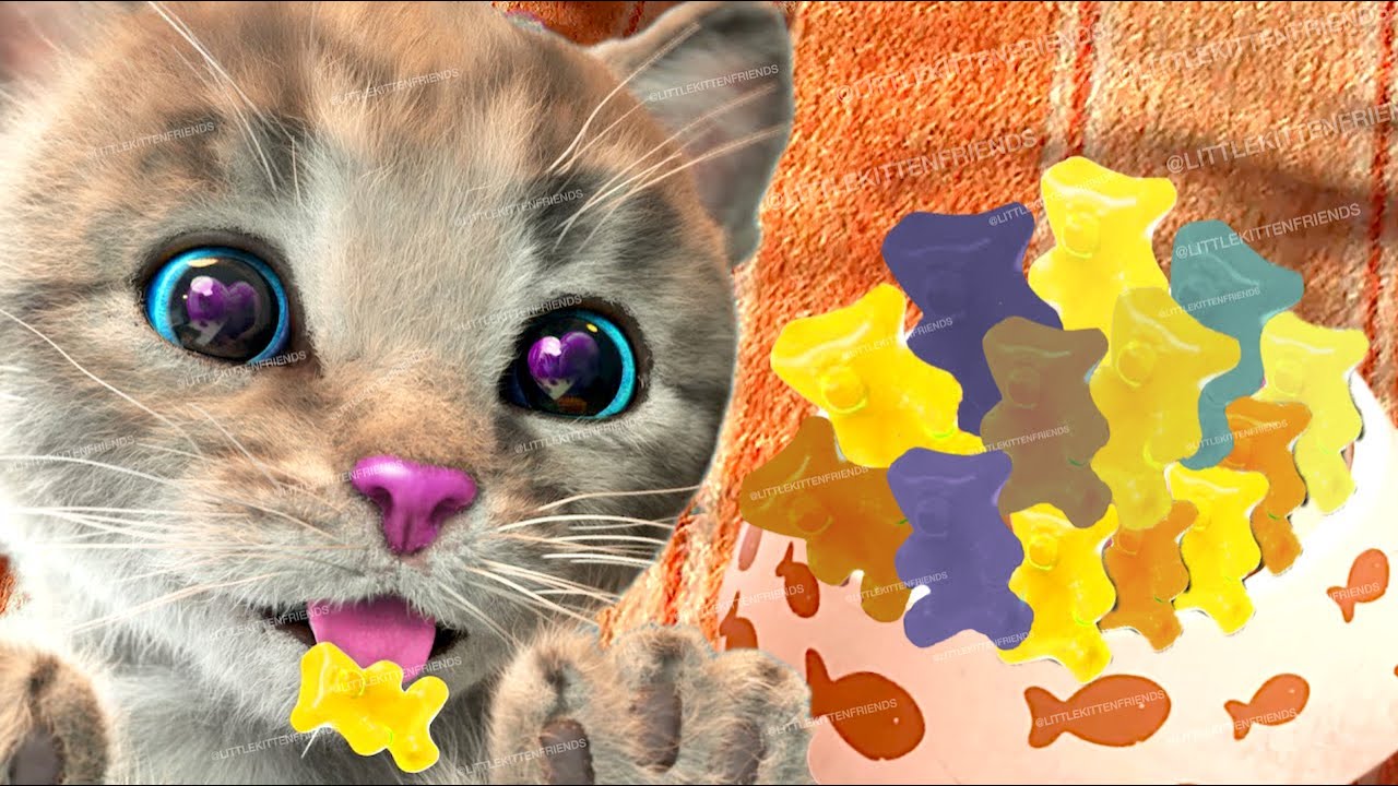 Little Kitten Adventure Educational Games -Learning Game -Fun Cute ...