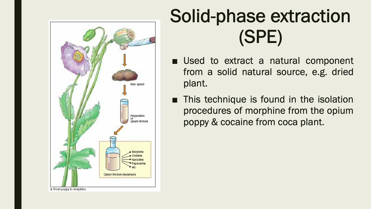Extraction - YouTube