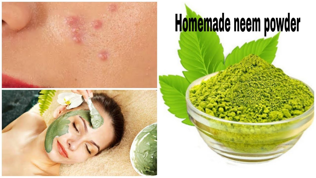 HOW TO : Make Neem Powder At Home | Benifits Of Neem Leaves |# ...
