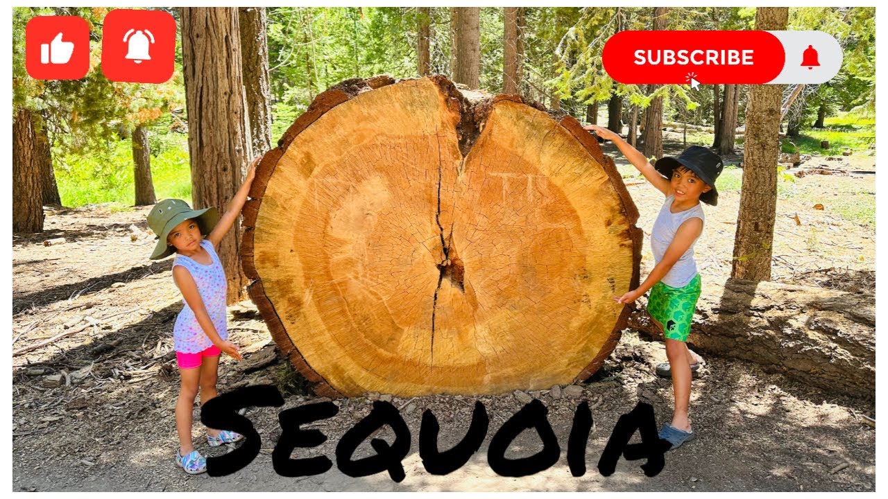 Sequoia National Forest | Camp 3 Campground | Kern River - YouTube
