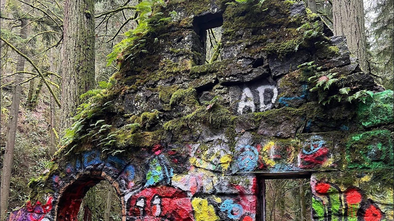 Forest park trail run in Portland - YouTube