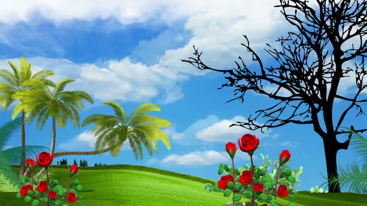 Bubble light effect black screen | Template effect video | colorfull ...