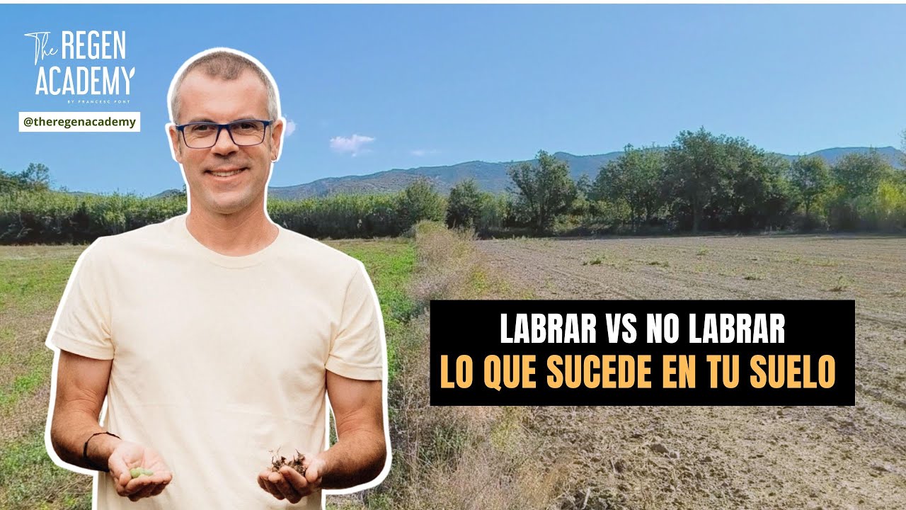Labrar vs No Labrar: Lo que Sucede en tu Suelo - YouTube