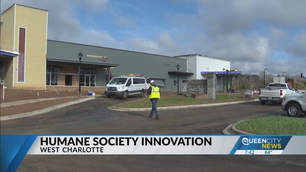 Humane Society of Charlotte nears fundraising goal - YouTube