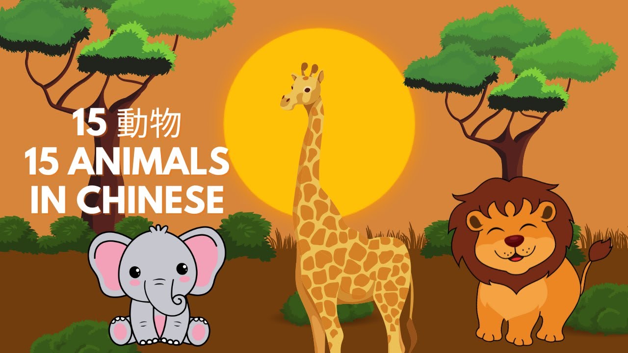 15 Amazing Animals in Chinese |15种惊人生物 | Video For Kids to Learn ...