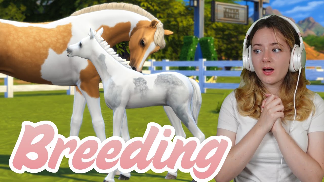 BREEDING HORSES IN THE SIMS 4 - Sims 4 Horse Ranch #ad | Pinehaven ...