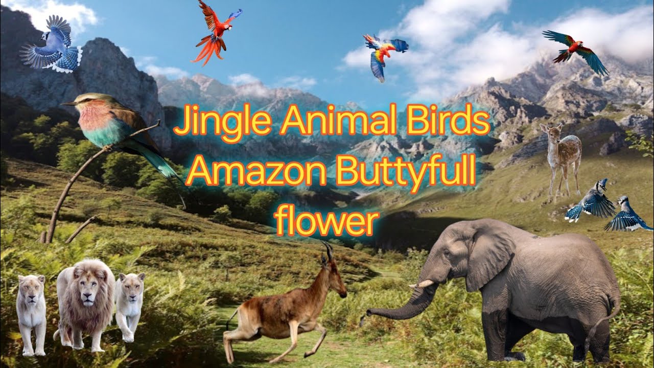 Waterfall in | Jingle Animal | Birds Buttyfull Cute Birds youtube ...