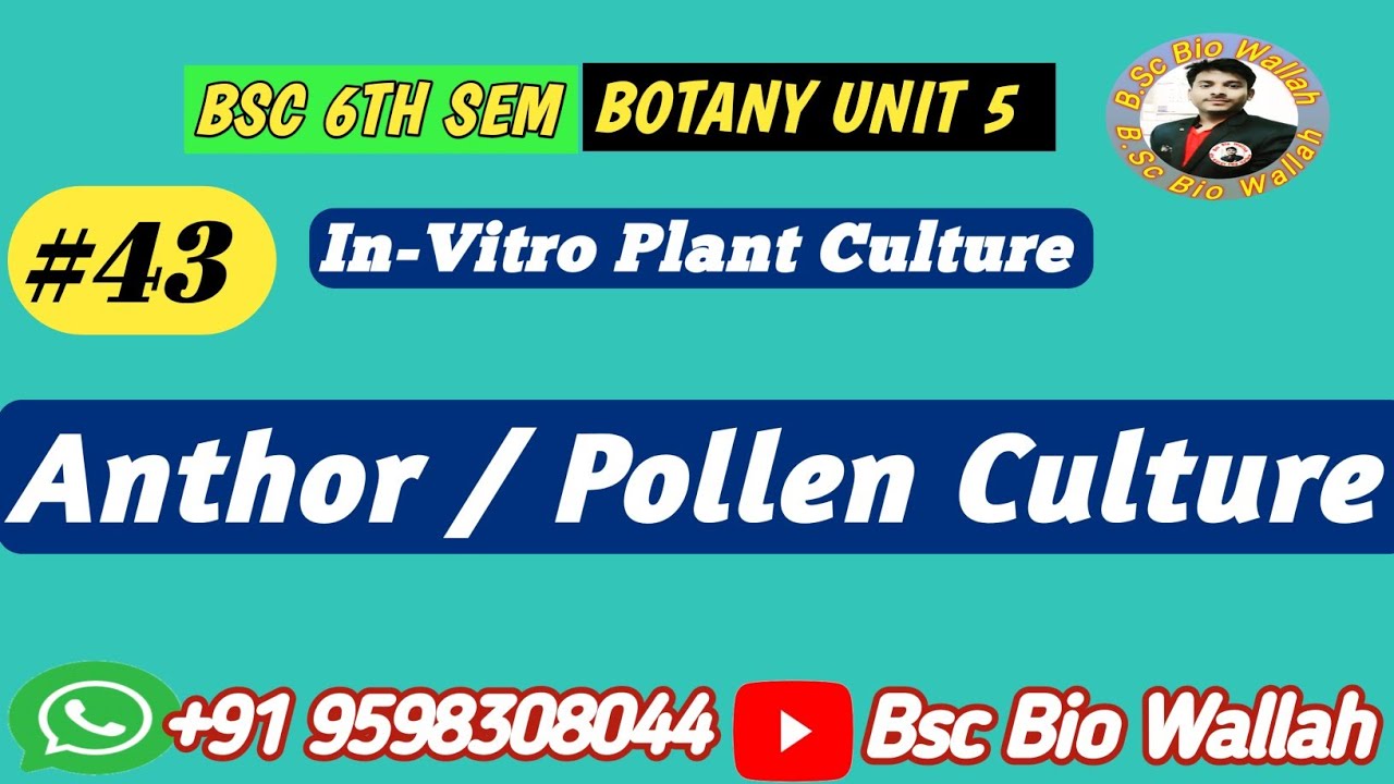 Anther or Pollen Culture | Procedure Precautions Application ...