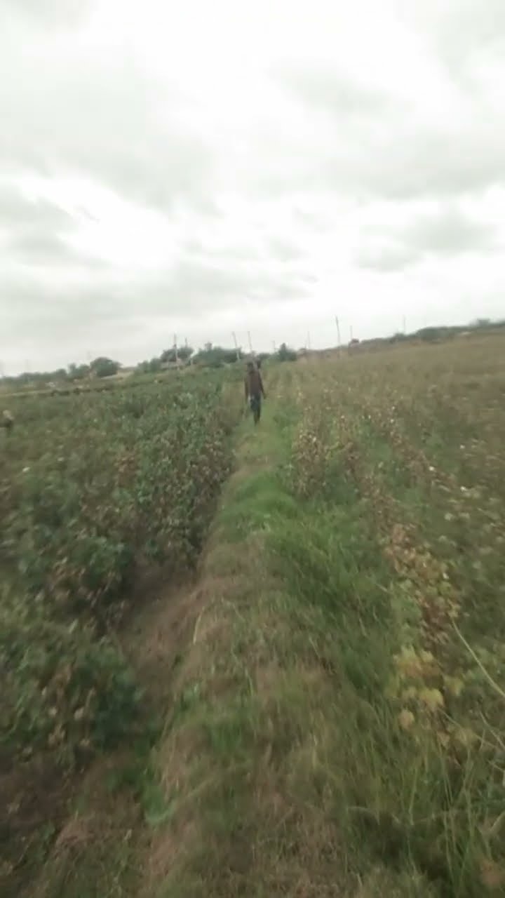 July 28, 2024 - YouTube