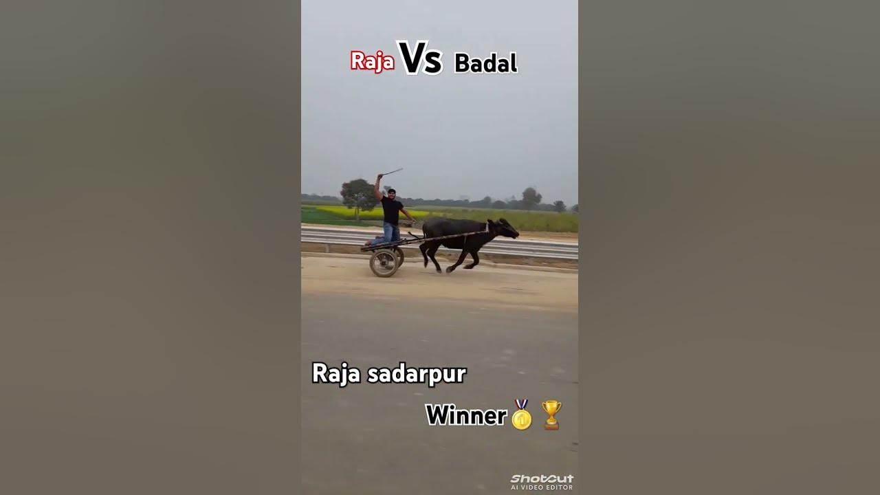 Isha sadarpur Vs Rishabh sadarpur - YouTube