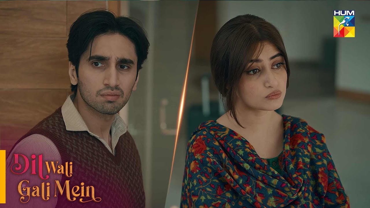 Dil Wali Gali Mein - Episode 17 - Best Scene 02 #sajalali #hamzasohail ...