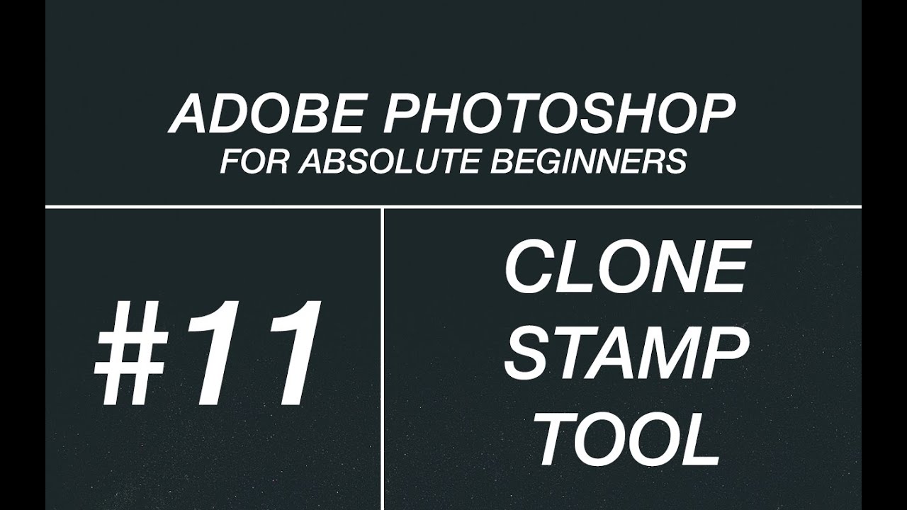 11. Clone Stamp Tool - Adobe Photoshop for Absolute Beginners ...