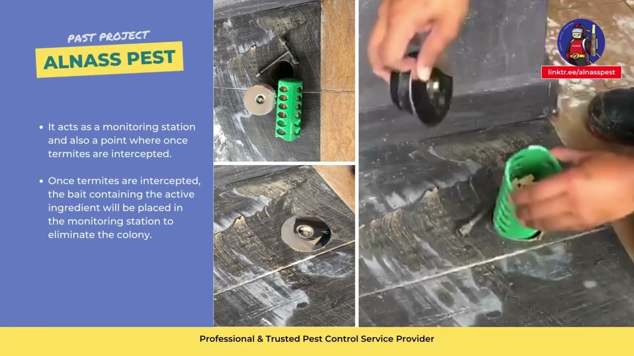 ANTI TERMITES INNOVATIVE SYSTEM - YouTube