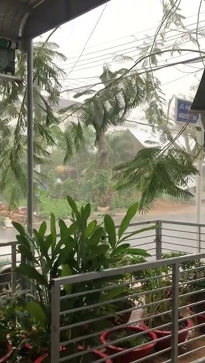 #shorts mưa lớn Tân châu An Giang | dung an suong | dung an suong travel - YouTube