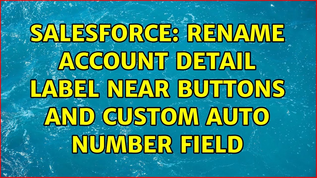 Salesforce: Rename Account Detail Label near buttons and Custom auto ...
