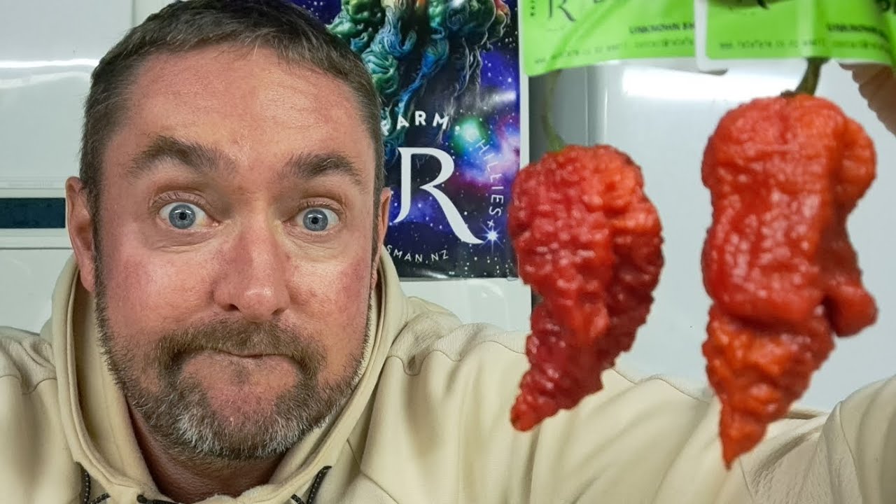 The Amazing DEADPOOL PEPPER !! BRUTAL HOT 🌡🔥 SCORCHING HOT PODS ...