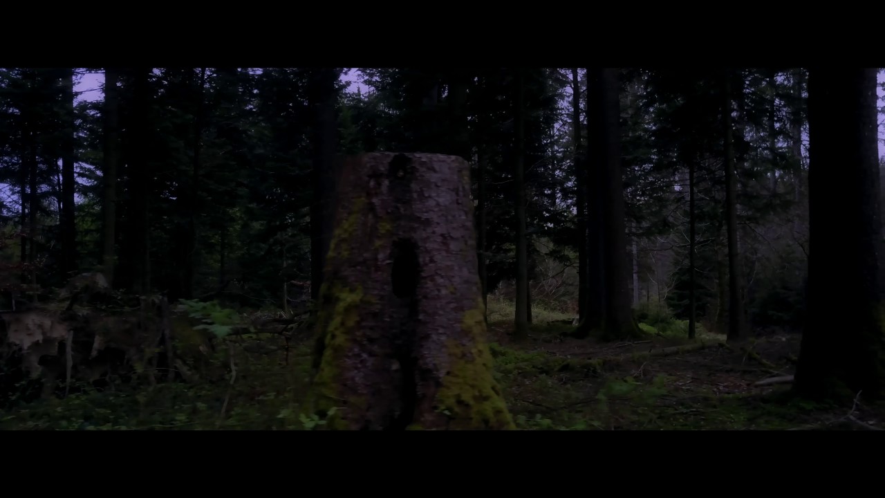 DEEP FOREST - AERIAL SHOT 4K - YouTube