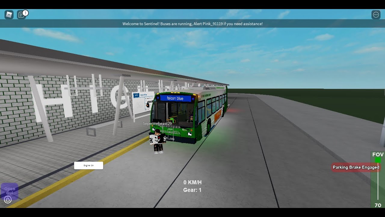 TTA Sentinel bus: 2003 Route: Falcon Blue Promenade Location: High Park ...