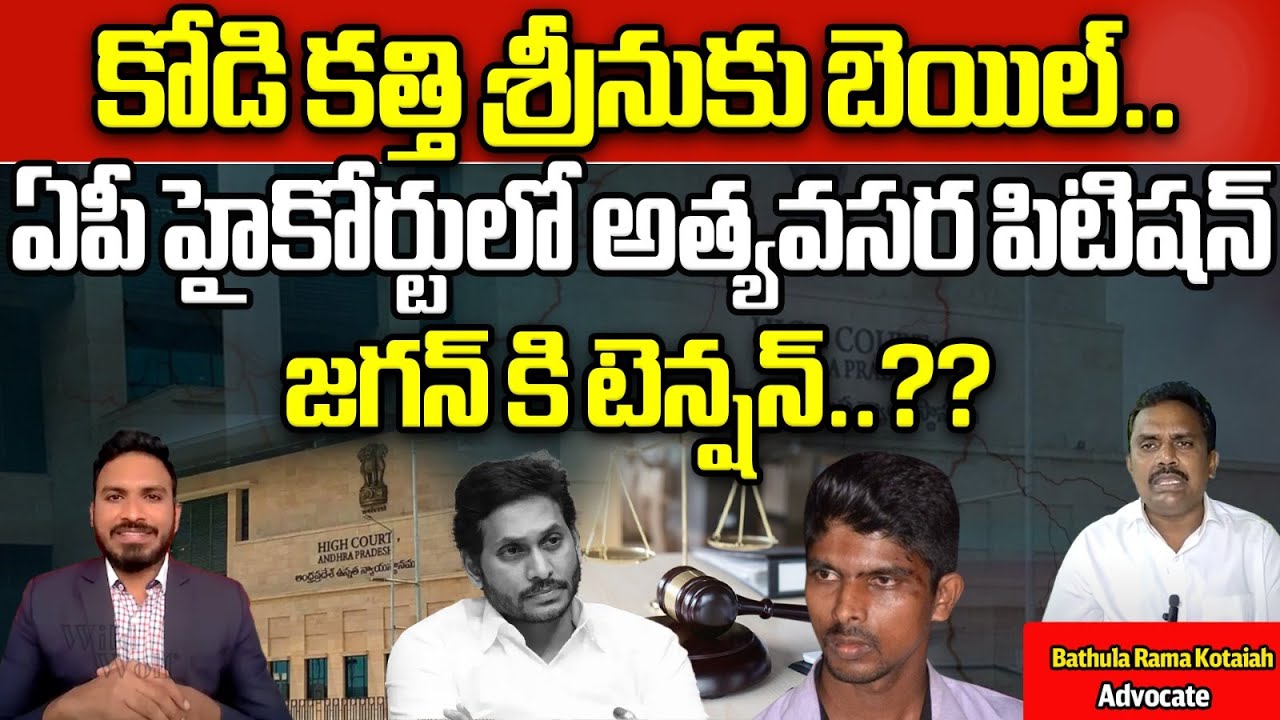 Kodi Kathi Srinu Bail Petititon In AP HighCourt | CM Jagan | AP ...