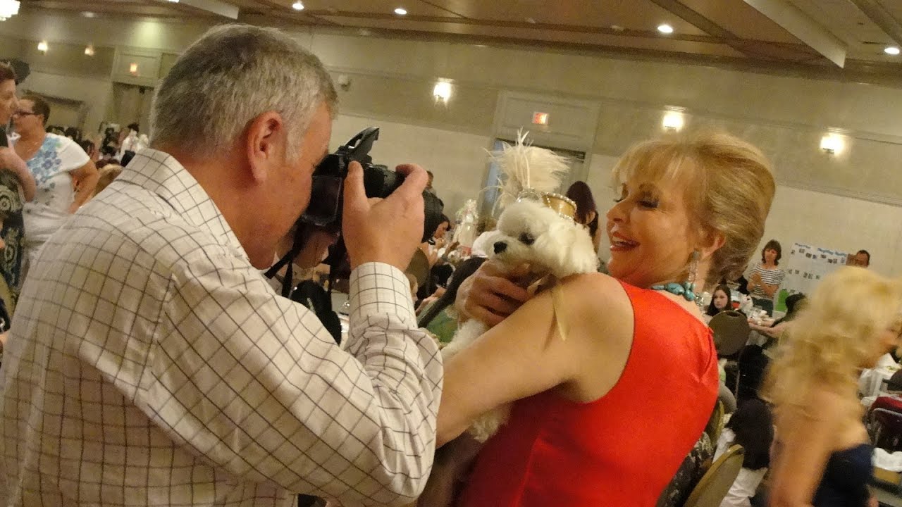Rescues Rock the Runway 2013 | Yotkie 911 Rescue Fundraiser Video - YouTube